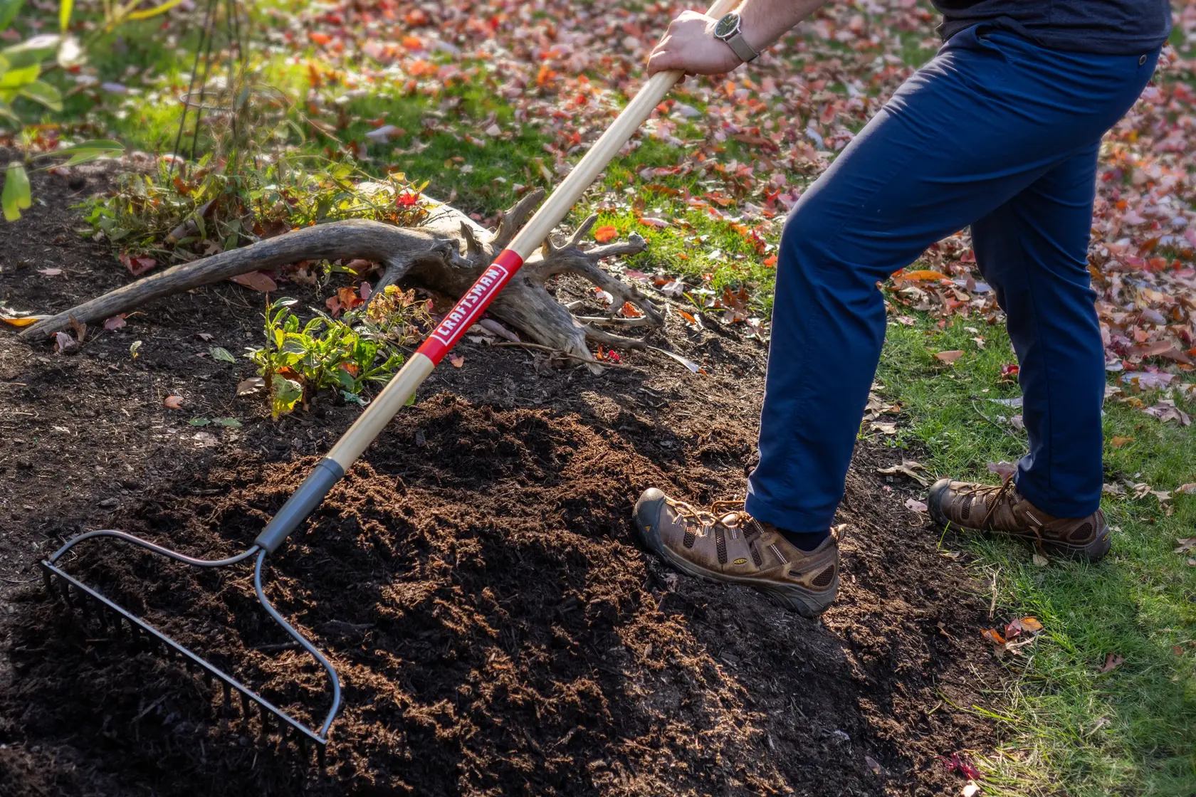 CRAFTSMAN 15-Inch Steel Leaf and Lawn Rake with Wood Handle
